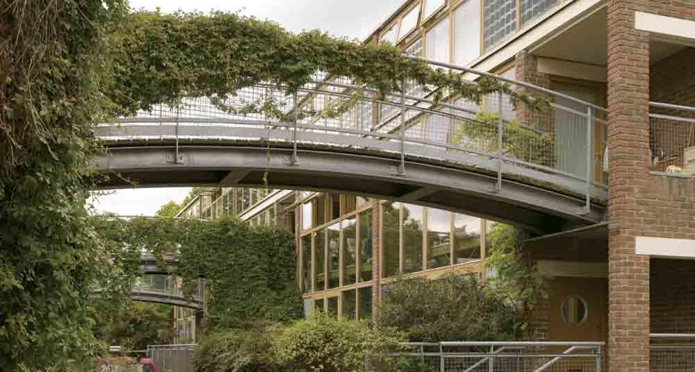 Revisiting the BedZed community | Building Study | Building Design