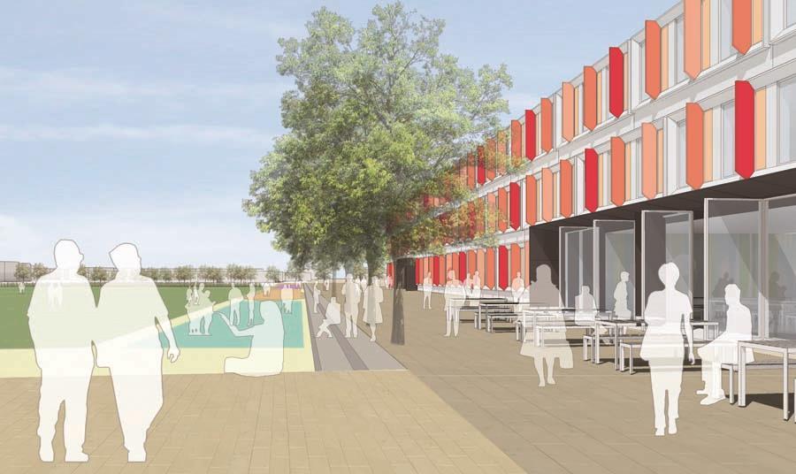 AHMM: Dagenham Park School, Barking | Building Study | Building Design