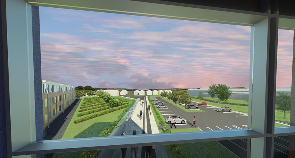 Colour commissioned to write BIM handbook for landscape architects ...