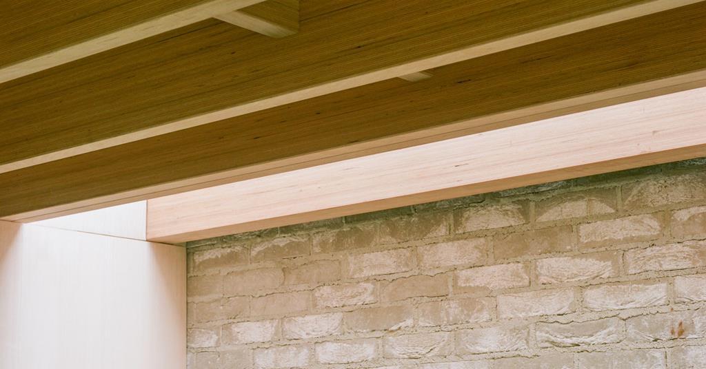 Focus on brick: Tree House, West London | Features | Building Design