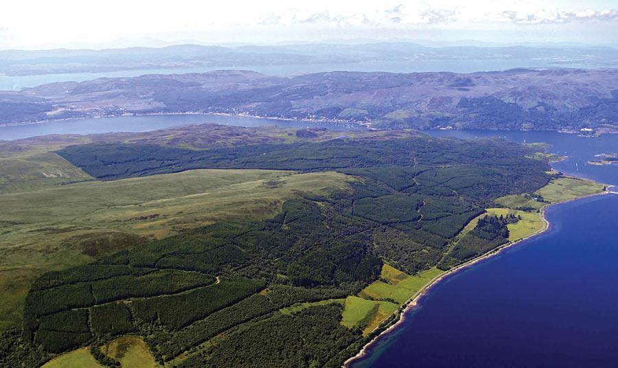 Neil Sutherland wins Bute forest competition | News | Building Design