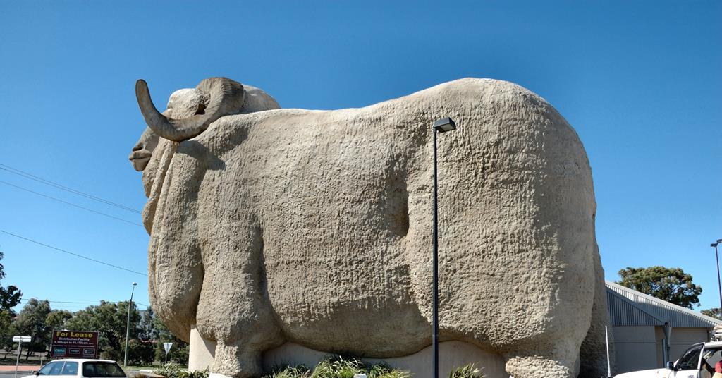 Sheep and pig buildings | Features | Building Design