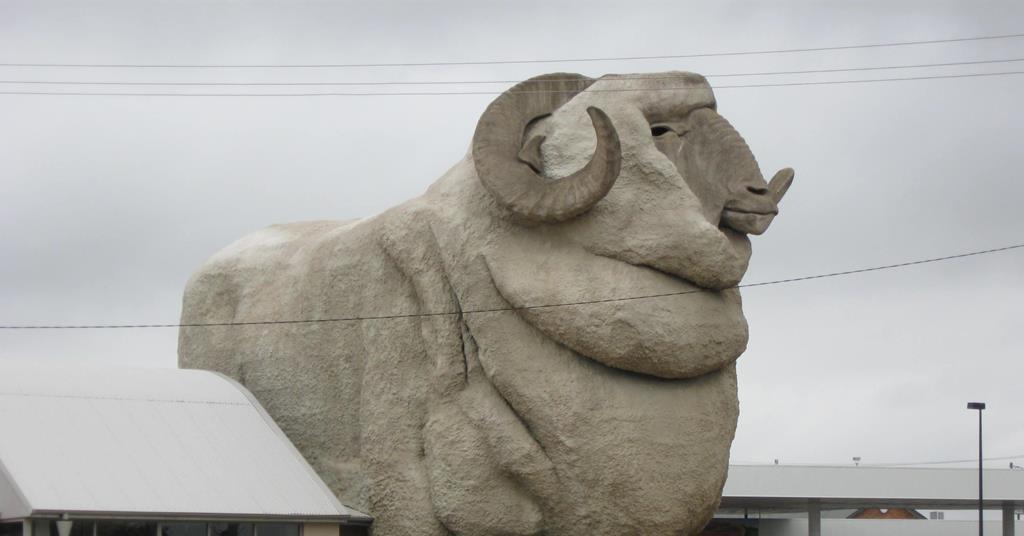 Sheep and pig buildings | Features | Building Design