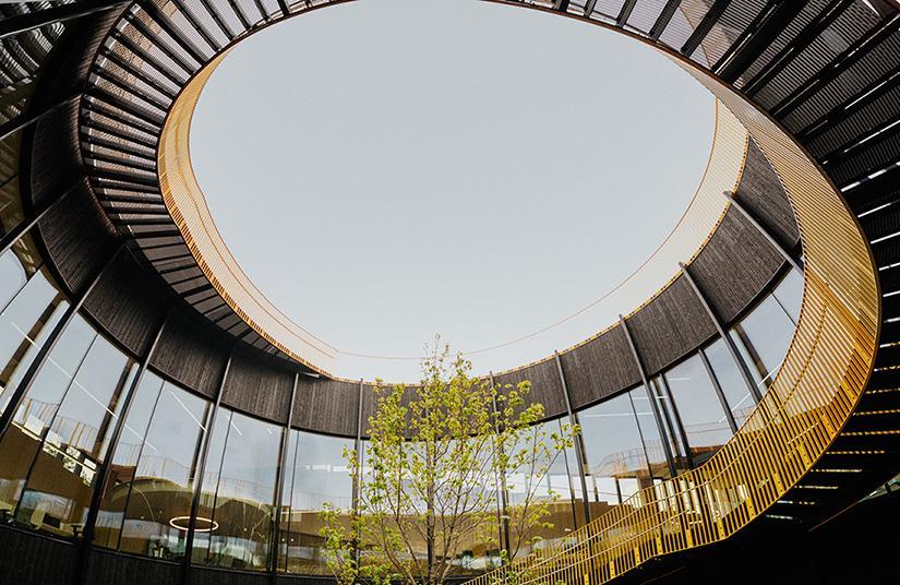 Environmentally-friendly furniture factory is a big plus in the forests ...