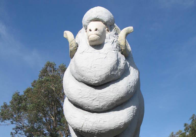 Sheep and pig buildings | Features | Building Design