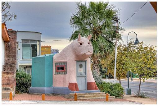 Sheep and pig buildings | Features | Building Design