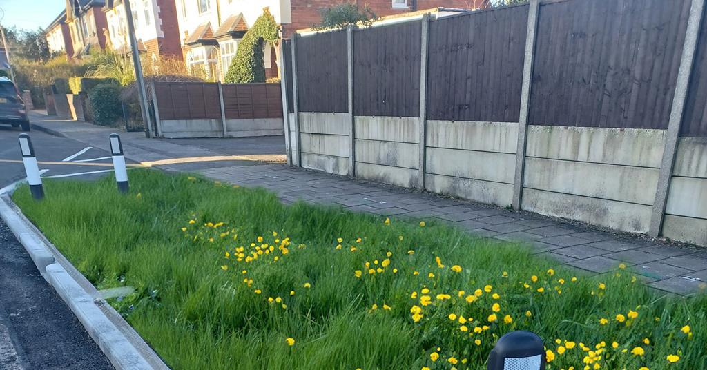 Marshalls launches ‘one of a kind’ modular rain garden kerb in midst of ...