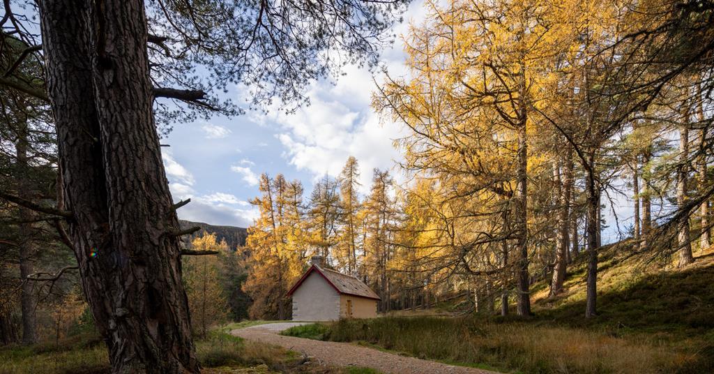 Moxon completes restoration of Scottish cottage once used by Queen ...