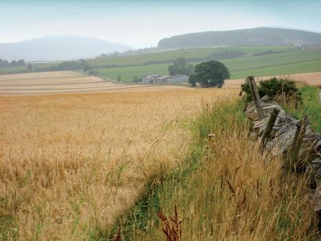 Charles Rattray: Deeside | Features | Building Design