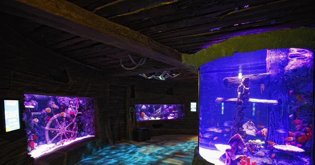 Kay Elliott Architects - Sea Life aquarium, Venice | News | Building Design