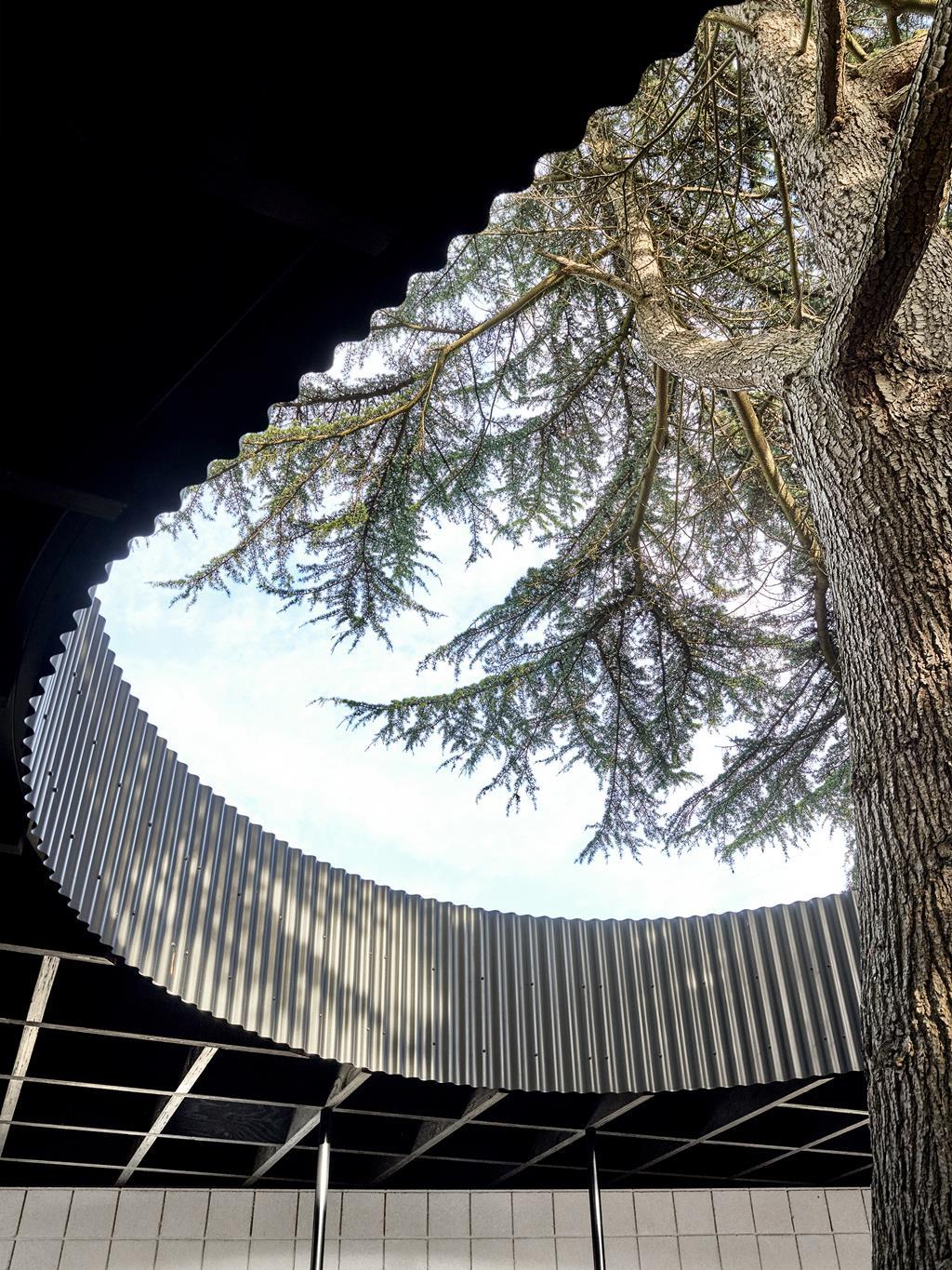 What made this project… A Room Around a Tree by Tikari Works | Features ...