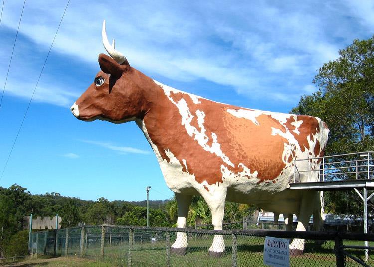Farm animal buildings | Features | Building Design