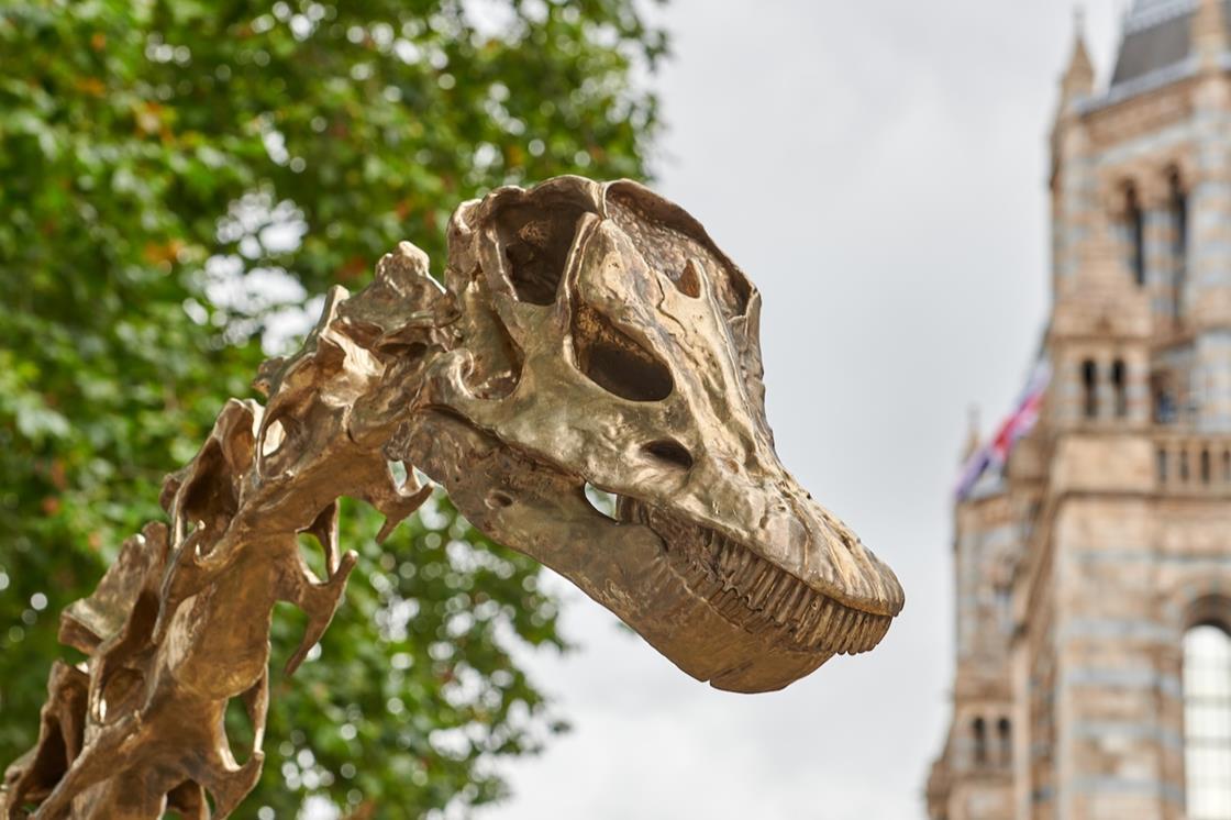 Meet Fern the diplodocus, star of a Natural History Museum garden ...
