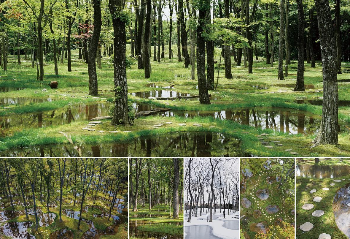Junya Ishigami wins €100,000 architecture prize | News | Building Design