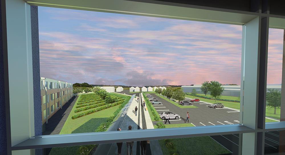 Colour commissioned to write BIM handbook for landscape architects ...