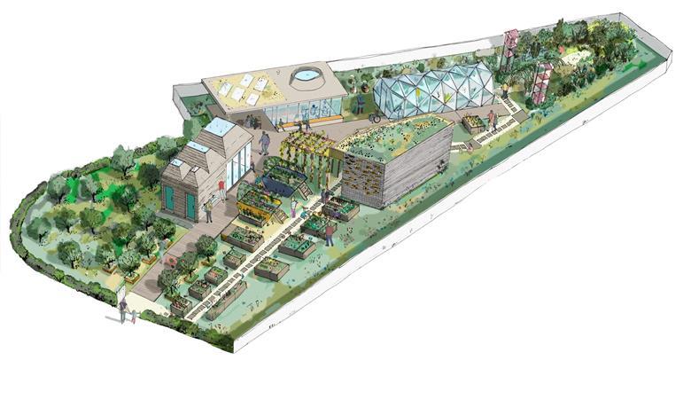 A triangular community: how Author brings generations together at King ...